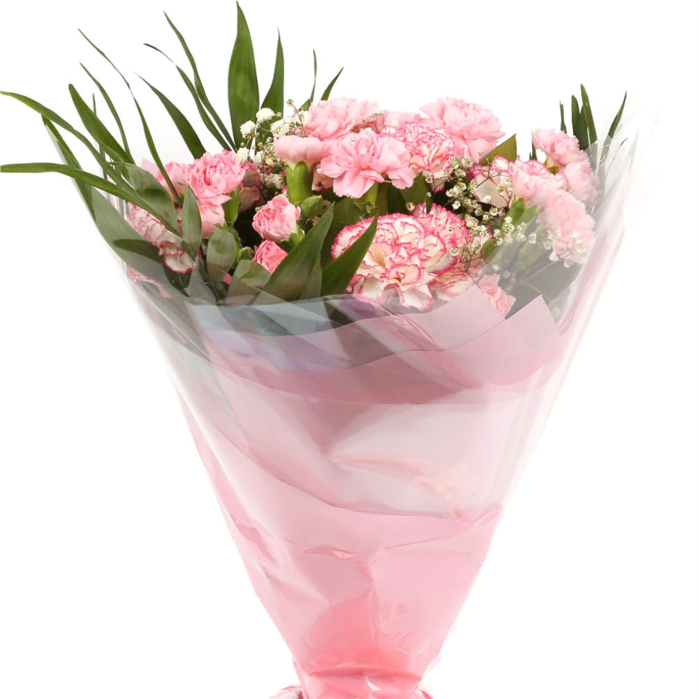 A Beautiful Pink Candy Carnations Melody – Bouquetsbypost